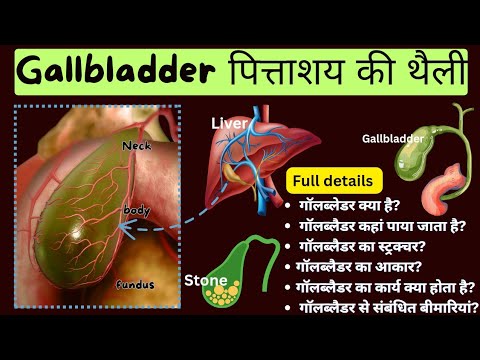 gall bladder (पित्ताशय की थैली) / गॉलब्लैडर फुल डिटेल में /gallbladder in Hindi/ gallbladder ka kaam