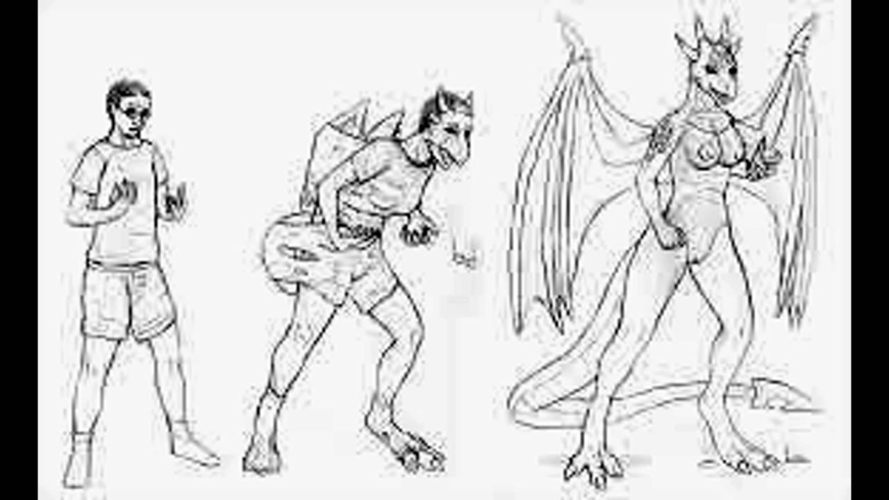 spyro/cynder tfs