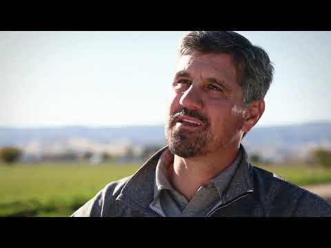 Cleantraxx® herbicide is the new foundation for total vegetation control