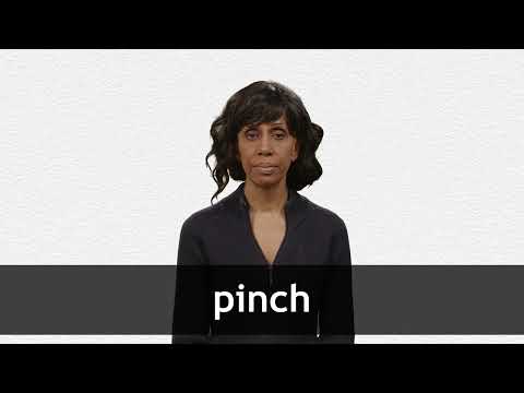 PINCH definition and meaning | Collins English Dictionary