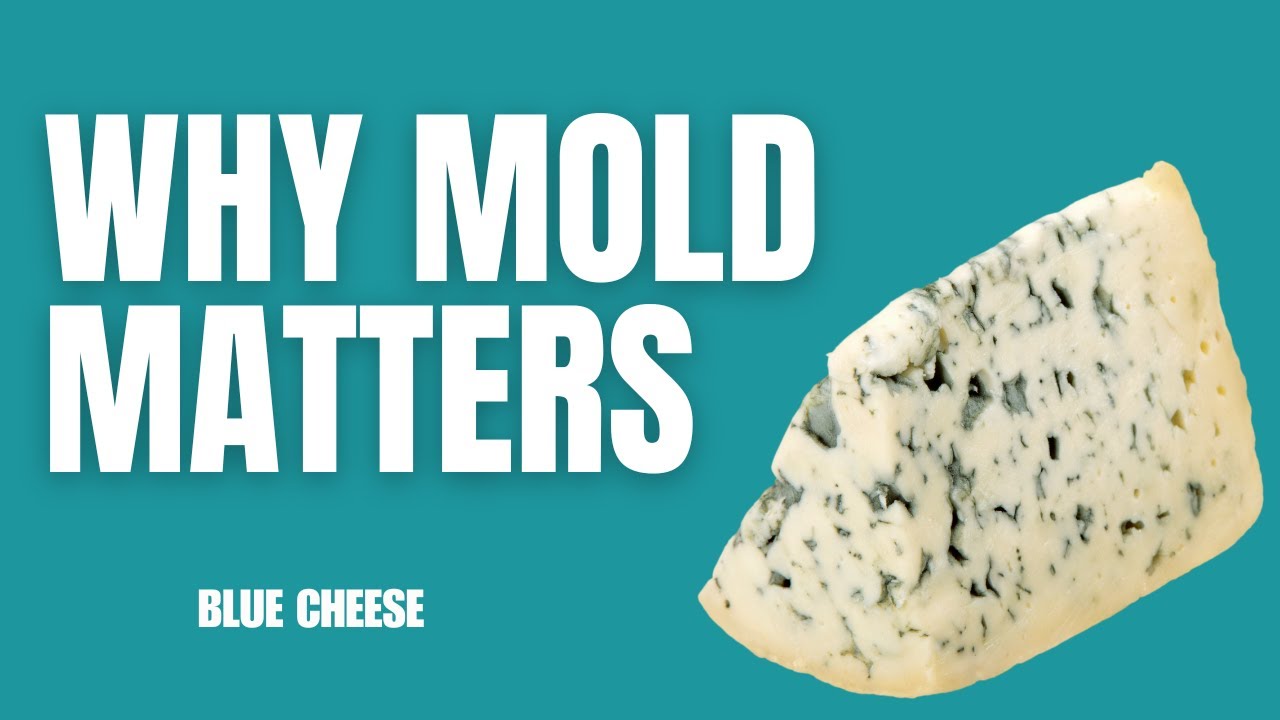 Health Benefits of Blue Cheese: Discover the Probiotic Power Within