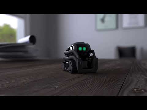 Vector by ddl | What's Inside Vector?