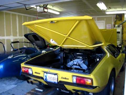 Pantera Decklid Shocks from Pantera Parts Connection