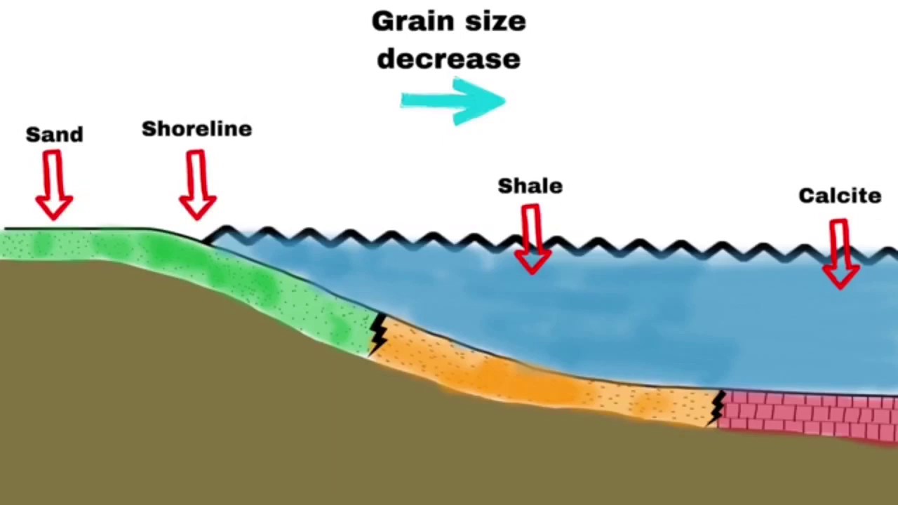 # Stratigraphy Practical Exercise 4 (Sedimentary Facies)