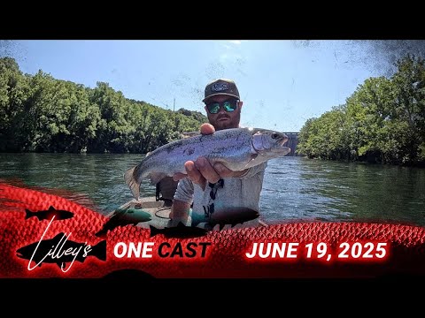 Lilley's One Cast, June 19