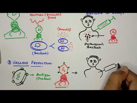 Bacteriophage And Genetic Engineering (LEC#14) Use Of Bacteriophage As Vector, Antigen Carrier, Drug
