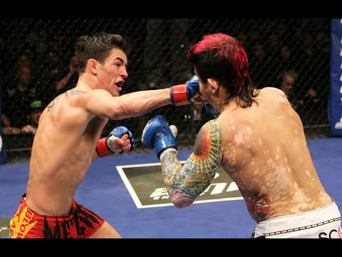 Dominick Cruz vs Scott Jorgensen | WEC 53 | Full Fight (Fight, MMA, Boxing, Knockout)