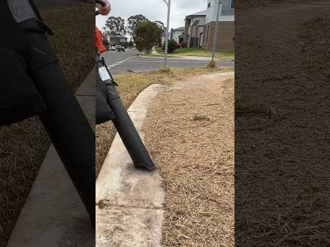 New to Australia. Stihl SHA56 2 in 1 blower/shredder vac. #tools #satisfying