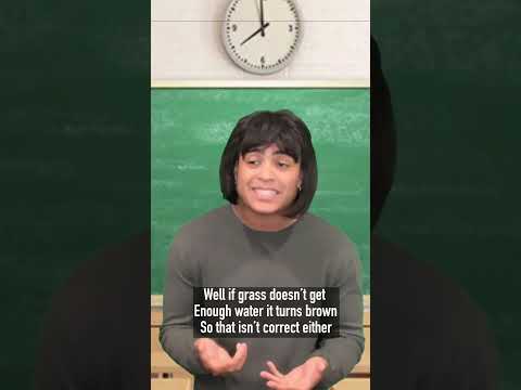 Use the word “ definitely” in a sentence…💀😂 #comedy #viral ￼