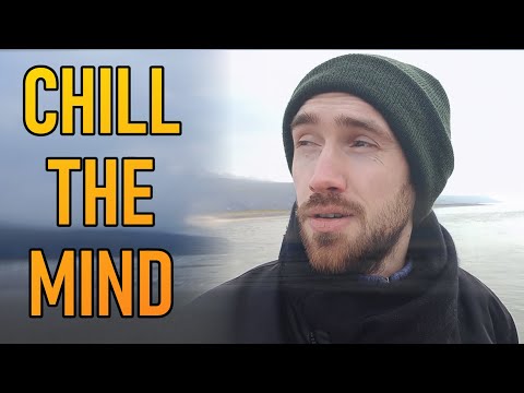 The Meditation Manifesto