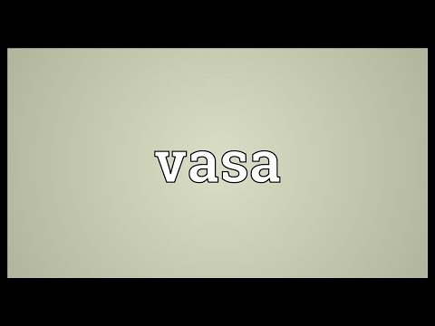 Vasa Meaning