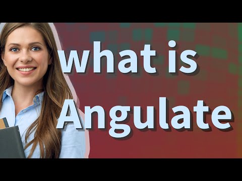 Angulate | meaning of Angulate