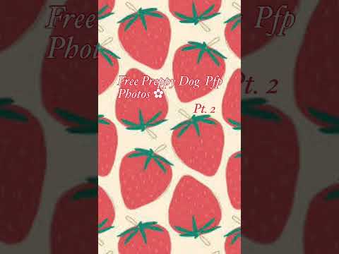 โ Preppy Dog Pfps โ๏ธโ๏ธ | Gabs_Prepss | #fypใท #preppy #pfp