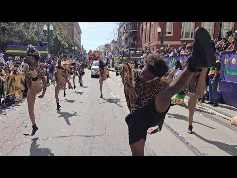 Zulu Parade Dance Groups