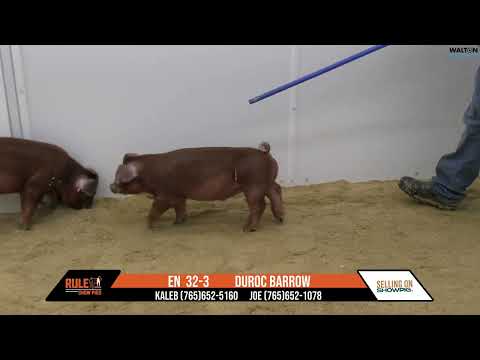 EN 32 3 Rule Feb 19 Sale 14 February 2024 04 56 21 PM