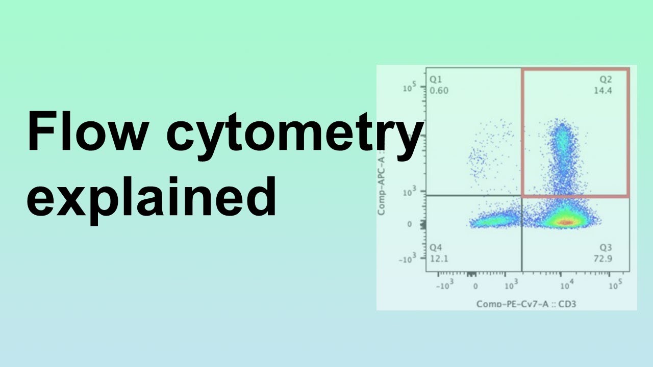 Basics of flow cytometry explained
