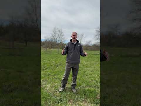 Give me a call ☎️ to see Lot 9 Jones Rd. Winchester, VA!!! #movewithmatt #land #landlisting