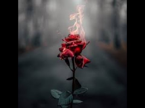 Most Beautiful nature Wallpapers video ( 2021 )