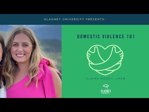 Domestic Violence 101