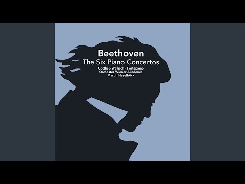 Piano Concerto No. 3 in C Minor, Op. 37: II. Largo