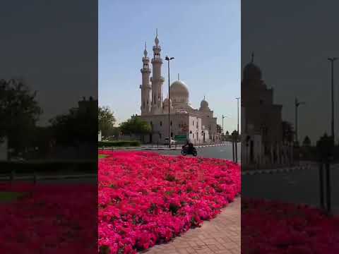 Muslim / mosque / Dubai / islamic world / beautiful mosque π/ uae