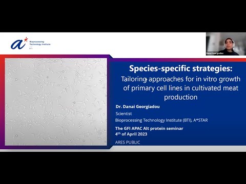 Tailoring approaches for in vitro growth of primary cell lines in cultivated meat production