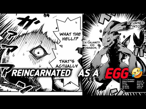 Reincarnated as a Dragonβs Egg!? This Isekai Manga is WAY Better Than You Think!
