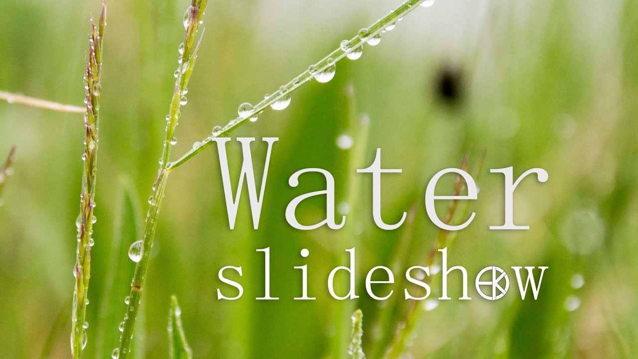Water - Slideshow