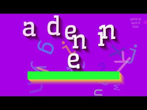 How to say "adenine"! (High Quality Voices)