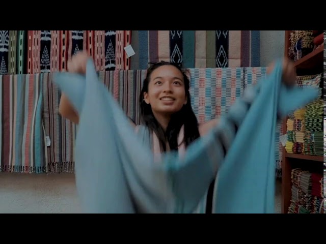 🌐 International Volunteer Programs - Vida Volunteer | Home Page