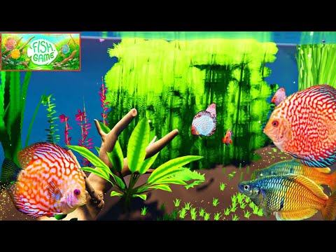 Steam Community :: Video :: Greatest Aquarium Game Ever Made ...