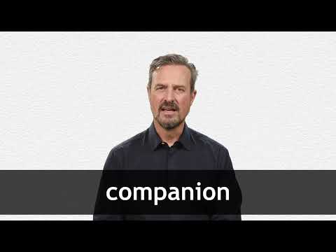 How to pronounce COMPANION in American English