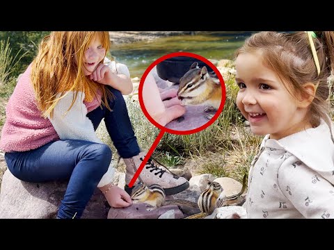 FEEDiNG WiLD ANiMALS at the CABiN!! a Family Day in the Mountains! Baby Moose, Adley, Niko & Navey