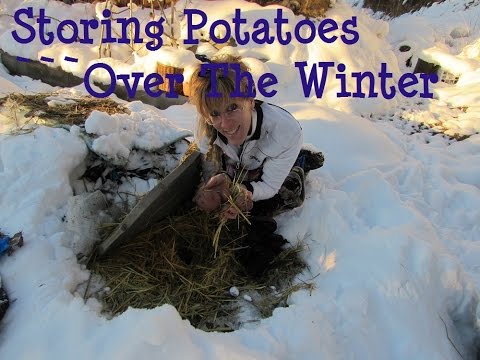 Off Grid Winter: Storing Potatoes Over Winter