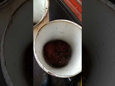 Electric Motor scrapppppp #scrapmetalrecycling #recycle #electricmotors #scrap