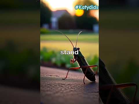 Grasshopper vs Katydid vs Cricket #animal #facts #subscribe #grasshopper