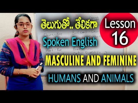 MASCULINE AND FEMININE || Spoken English in Telugu || Spoken English With Telugu || EDUTAINMENT ||