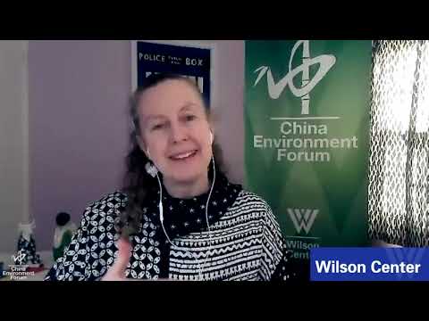 Plastic Waste Solutions: EPR and Corporate Innovation in U.S. and Southeast Asia