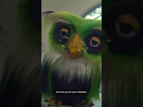 OCHO Car Insurance - Ocho the Owl - The Wrong Text #carinsurance #carinsurancetips
