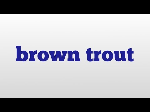 brown trout meaning and pronunciation