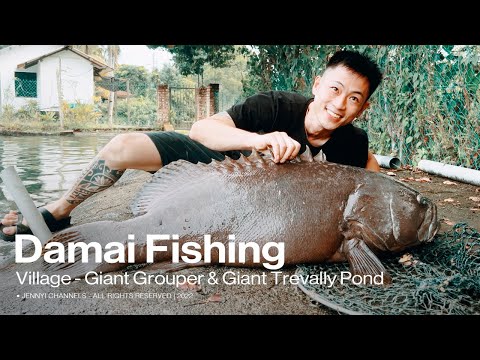 DAMAI FISHING VILLAGE - GIANT GROUPER & GT POND - TAMAN PERLING • JOHOR | JY