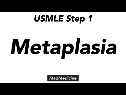 Metaplasia - Basics of Medicine (USMLE Step 1)