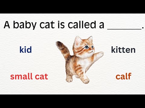 Fun Logical Questions Quiz for Kids | Brain Teasers & Riddles for Kids | Quiz Frog