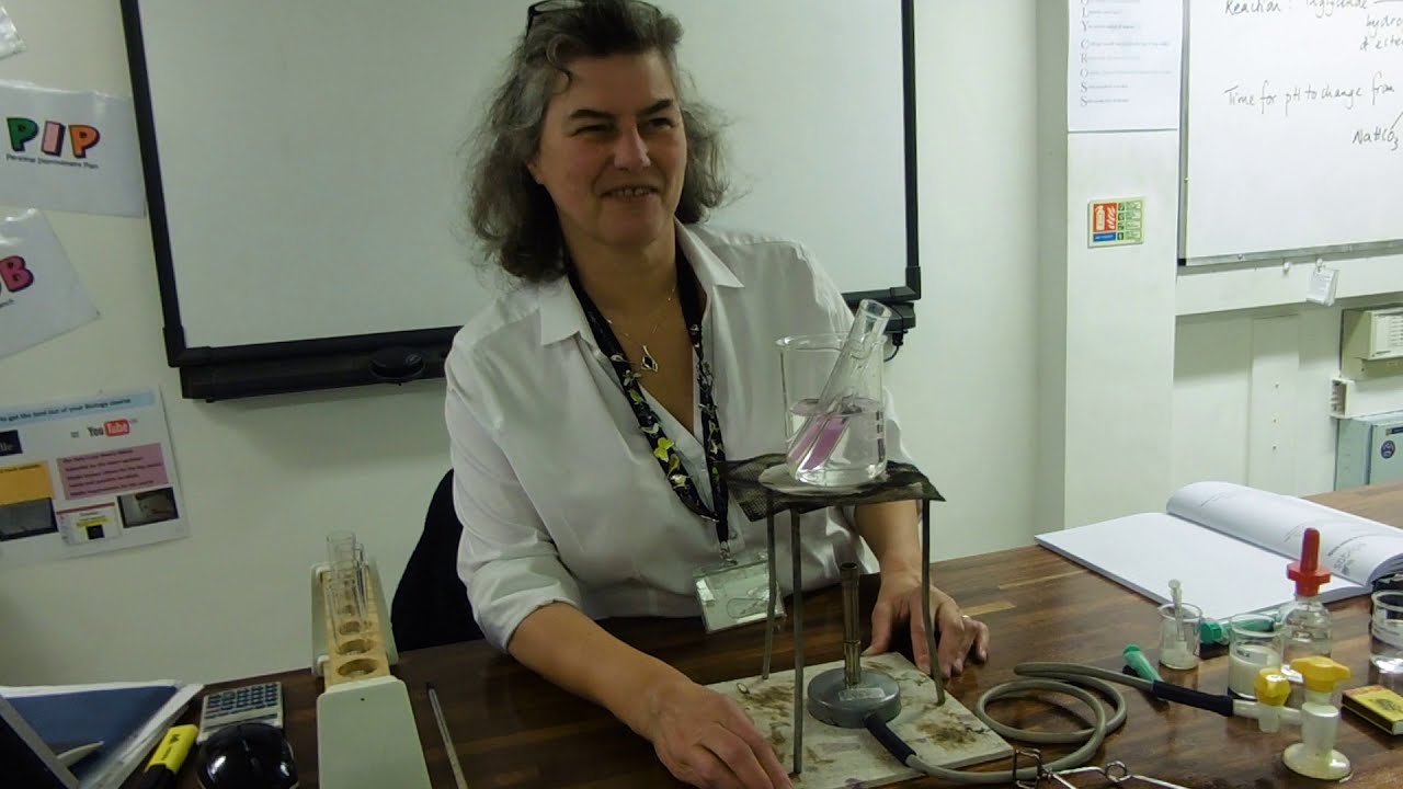 Milk and lipase enzyme experiment