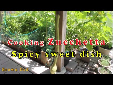 Cooking Zucchetta Tromboncino summer squash in an exotic way