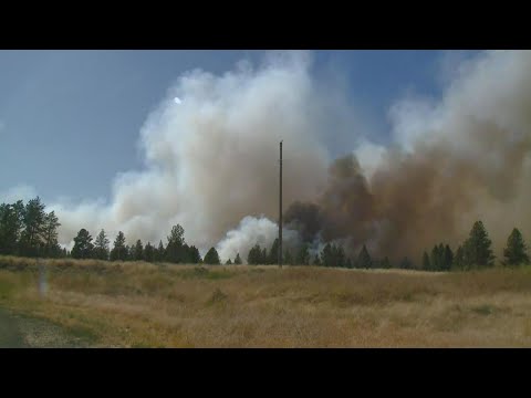 Williams Lake Fire | Fire burning over 3,000 acres, Red Cross shelter opened