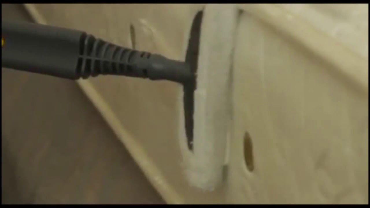 How To Kill Bedbugs with the MR 100 Steam Vapor Cleaning Machine