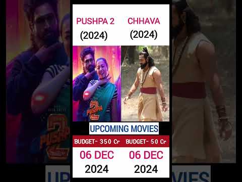 CHHAVA ЁЯЖЪ PUSHPA 2, UPCOMING MOVIES IN DECEMBER 2024 UPDATES. #chhava #pushpa2 #alluarjun #collection