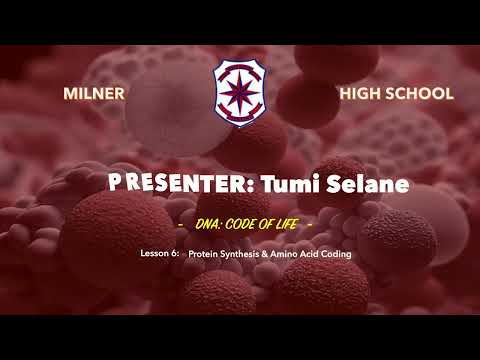 Lesson 6 (Part 1): Protein Synthesis