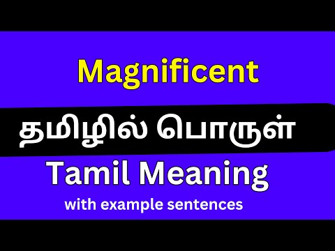 Magnificent meaning in Tamil/Magnificent தமிழில் பொருள்